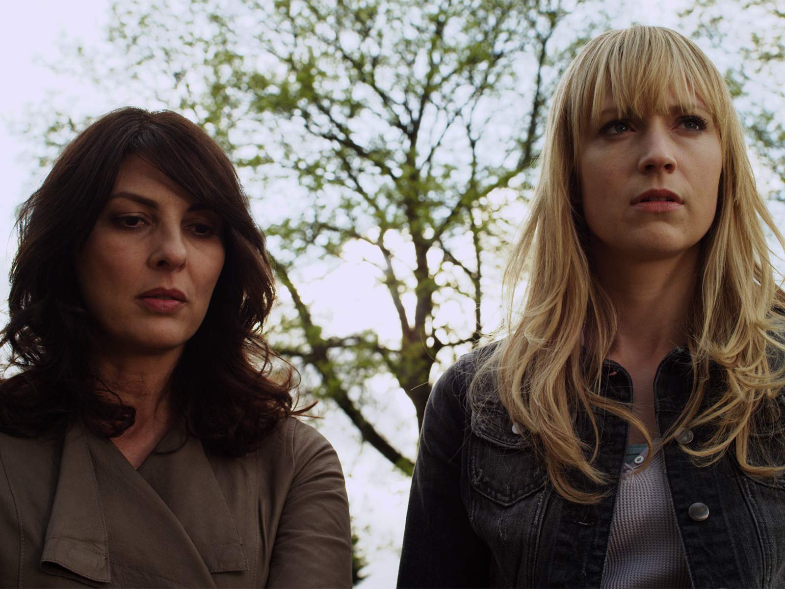 Leverage : Timothy Hutton, Gina Bellman, Christian Kane, Beth Riesgraf ...