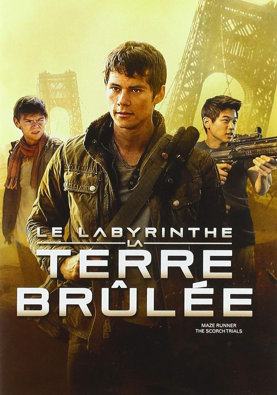 Le Labyrinthe : La Terre Brûlée [Italia] [DVD]: Amazon.es: Dylan O ...