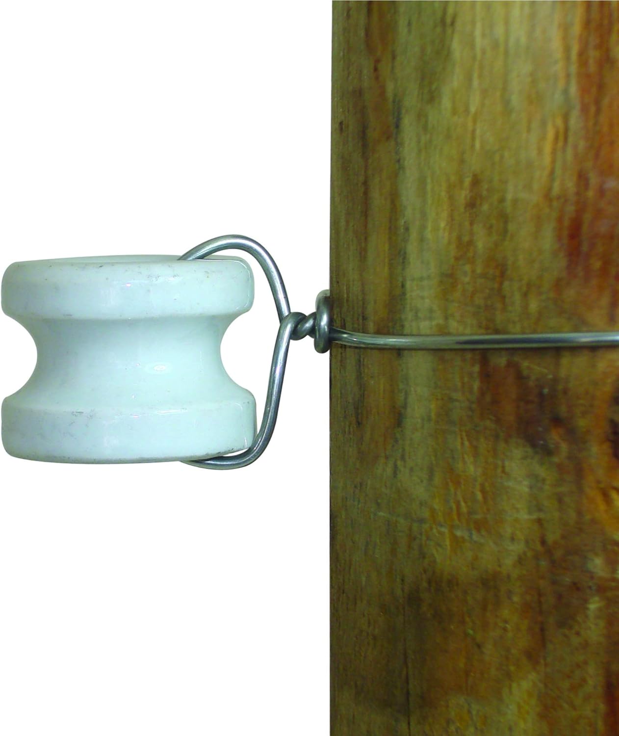 Amazon.com: Field Guardian Porcelain Insulator, Donut: Pet Supplies