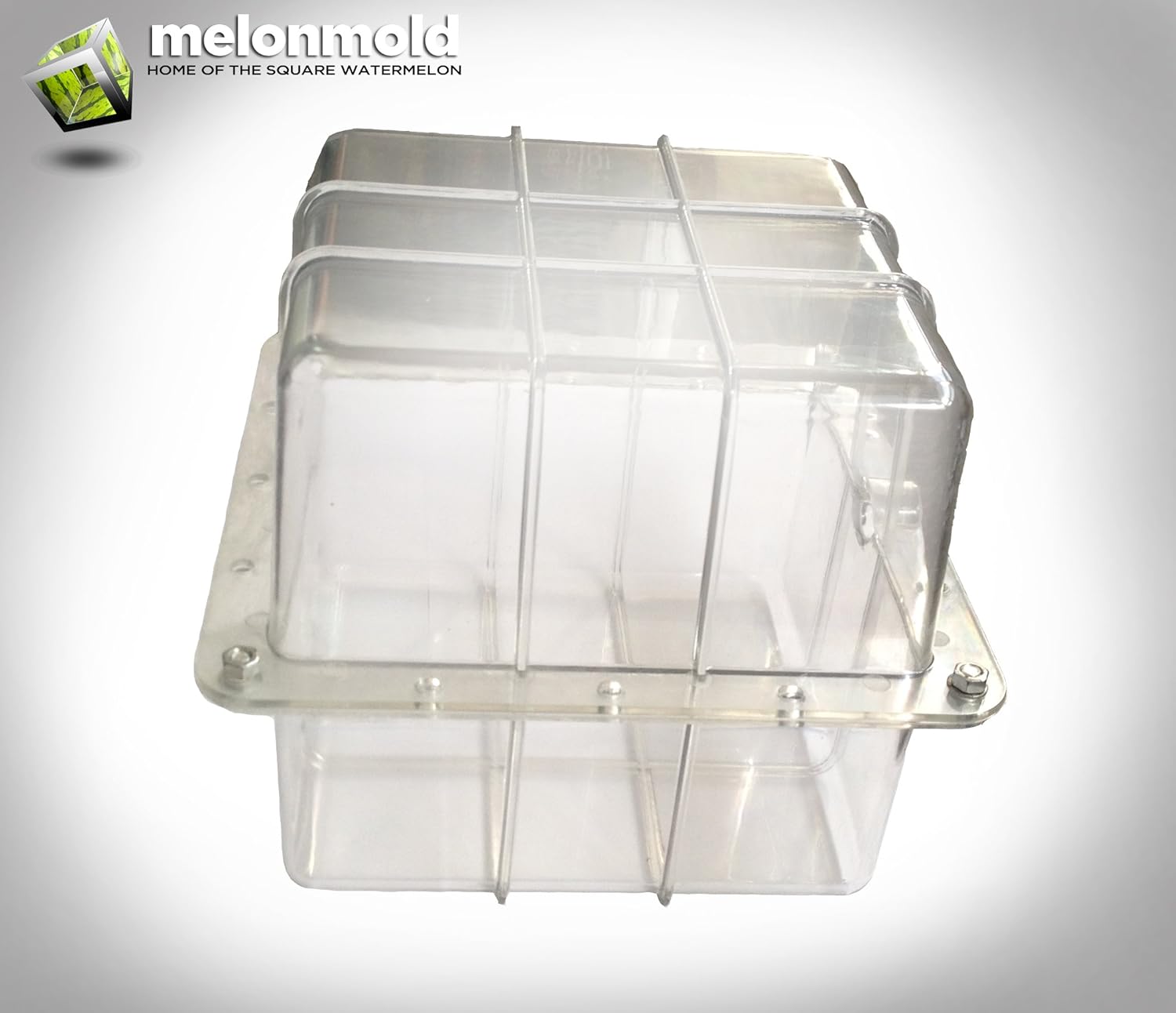 Square Watermelon Mold for Making Cubed Watermelons: Amazon.co.uk: Garden & Outdoors