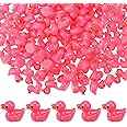 Amazon.com: Outus 150 Pcs Mini Resin Ducks Pink Tiny Ducks Miniature ...
