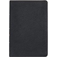 CSB Large Print Thinline Bible, Black LeatherTouch, Red Letter ...