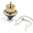 Amazon.com: HiSport Fuel Injection Pressure Regulator -Kit with Clip, 3 ...