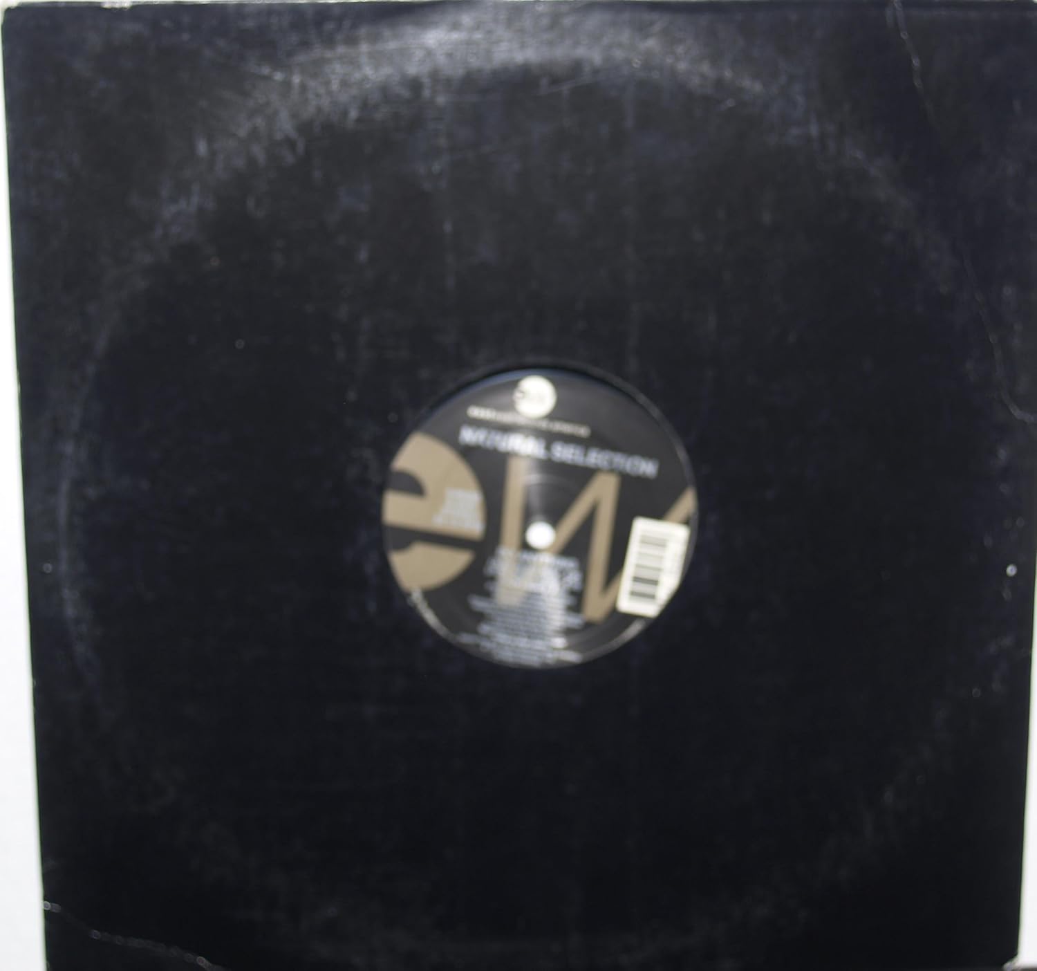 Natural Selection - Do Anything [Vinyl] - Amazon.com Music