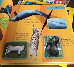 National Geographic Little Kids First Big Book of Why (National ...