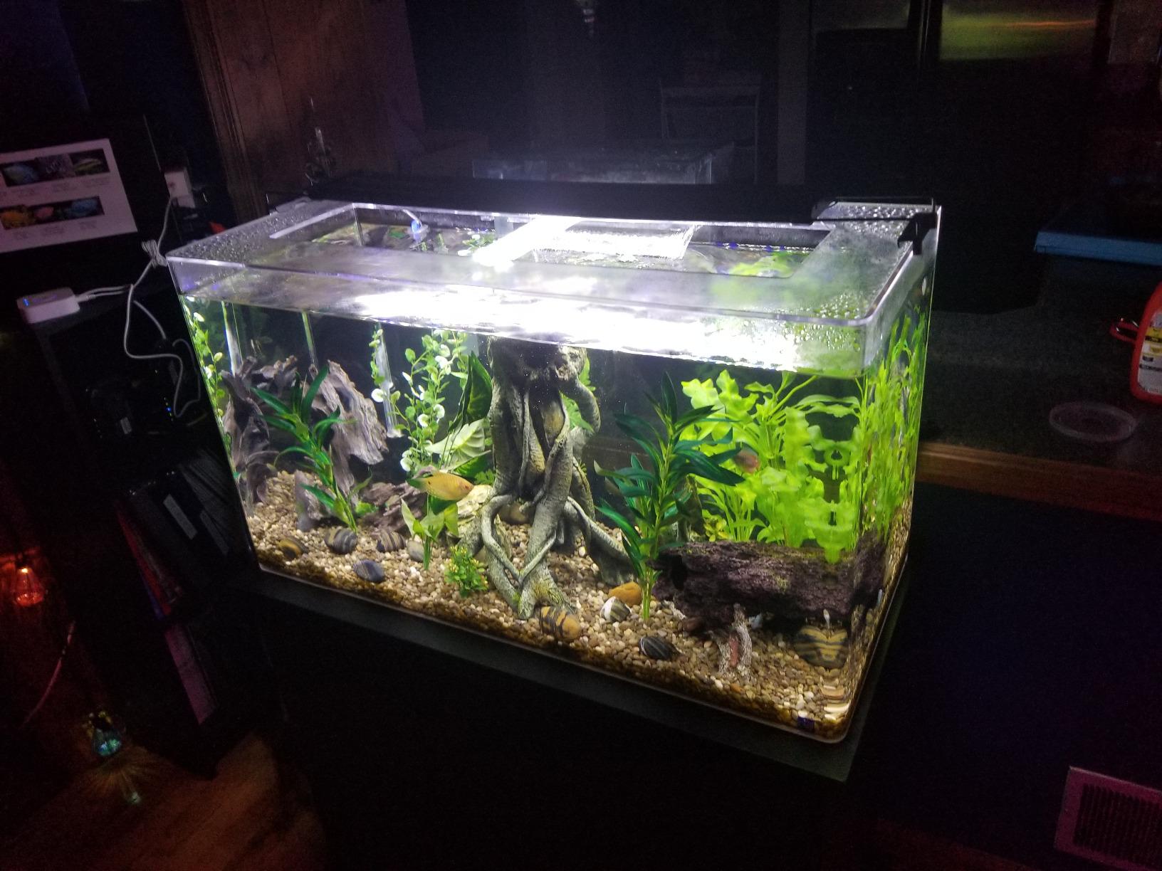 $40/mo - Finance SeaClear Acrylic Aquarium Combo Set | Buy Now, Pay Later
