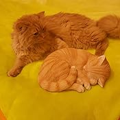 Vivid Arts Real Life Katze, schlafend, rot (Größe B): Amazon.de: Garten