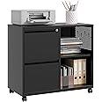 Amazon.com : SISESOL 2 Drawer File Cabinet with Lock and Shelf,Mobile Lateral Filing Cabinet ...