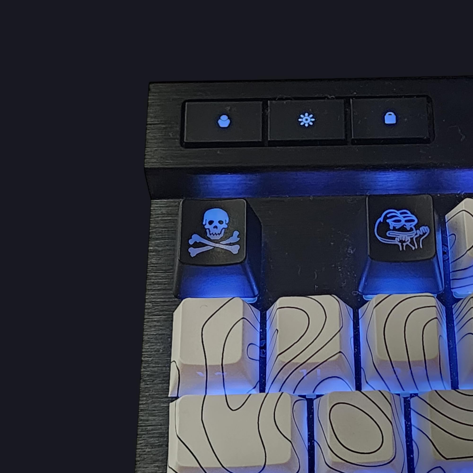 Mua Skull & Crossbones Backlit Keycap Set - Custom kecaps for Cherry MX ...