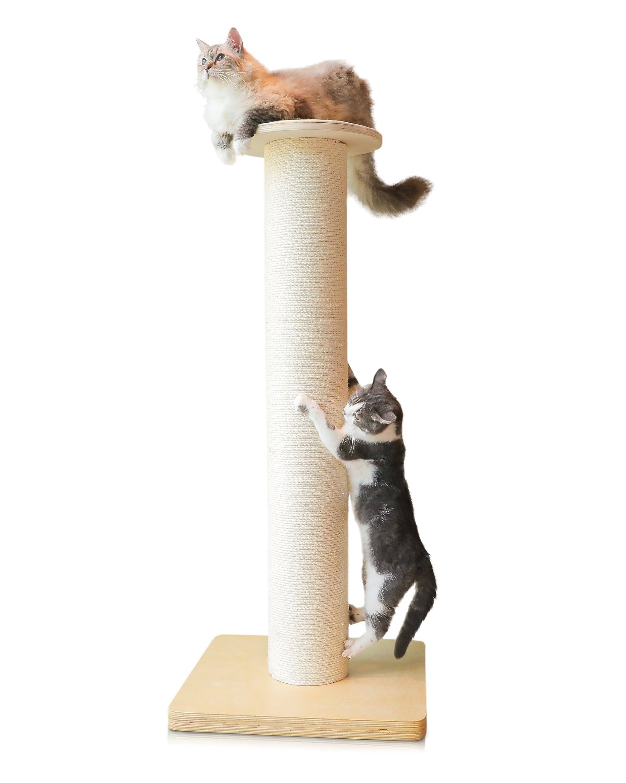 KONELCARE 50" Tall Cat Scratching Post, Extra-Large Cat Scratch Post ...