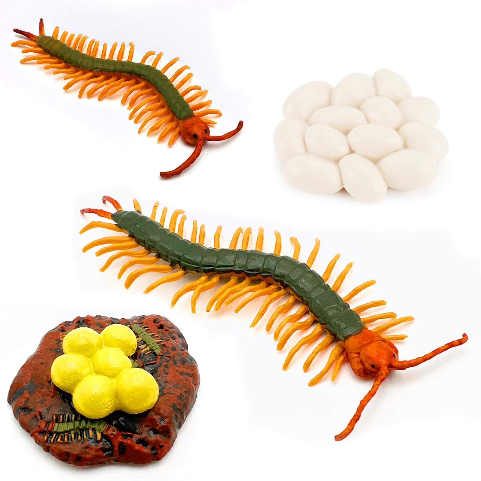 Mua Life Cycle Toys, Centipede Life Cycle, Insect Figurine Toys, Insect ...