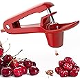 Amazon.com: Cherry Pitter - Ordekcity Stainless Steel Cherries Corer ...