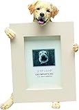 Amazon.com : Papillion Picture Frame Holds Your Favorite 2.5 by 3.5 ...