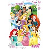 Amazon.com: Disney Princess - Poster (12 Disney Princesses) (Size: 24 ...