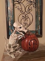 Amazon.com: Crazy Bonez Skeleton Rat: Toys & Games