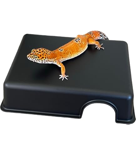 Temperature Humidity Sensor Hide Reptile Humid Hide Box With Sensor ...
