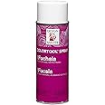 Amazon.com: Design Master 786 Fuchsia Colortool Spray : Tools & Home ...