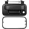 Amazon.com: Tailgate Handle Latch Compatible with 2004-2016 Ford F150 ...