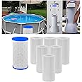 Amazon.com: ARAGIT 6-Pack Universal Pool Filters Type A Type C or III ...