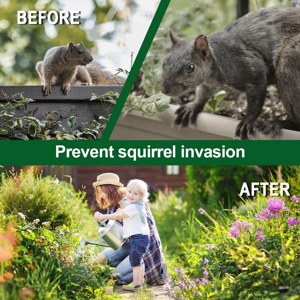 Mua TSCTBA Squirrel Repellent Outdoor, Rodent Repellent, Squirrel ...
