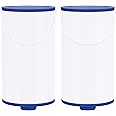 Amazon.com: Wowreed Spa Filter Compatible with FC-2402, 303279, Free ...