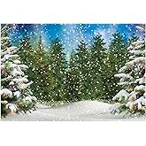 Amazon.com : Funnytree 7x5ft Rustic Christmas Barn Door Backdrop for Photography Merry Xmas Wood ...