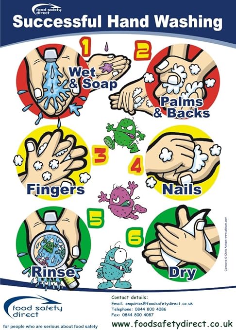 Laminated Successful Hand Washing Poster (A3 Size): Amazon.co.uk ...