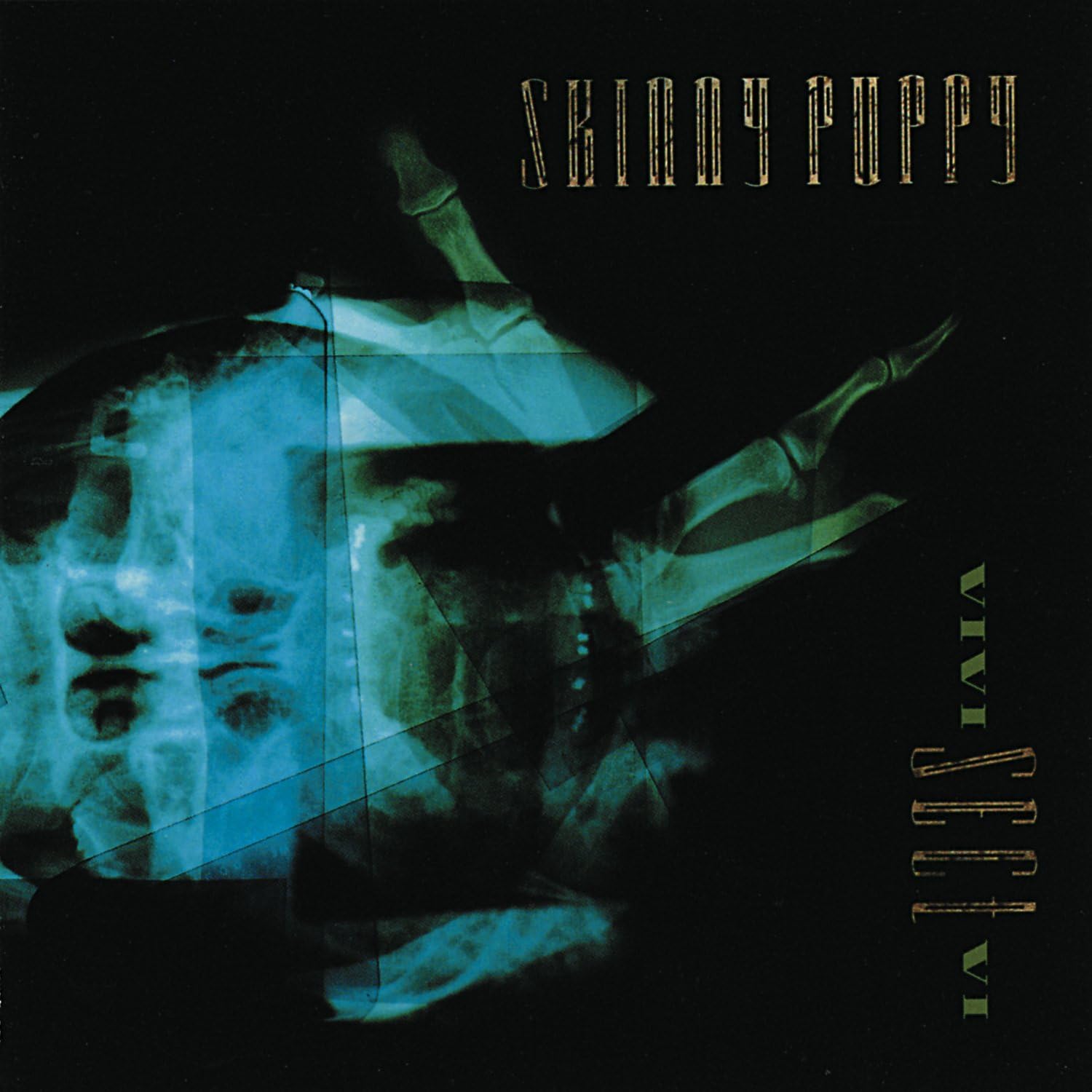 VIVISectVI: Skinny Puppy: Amazon.ca: Music