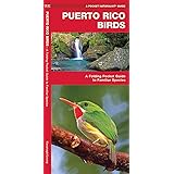 Amazon.com: Puerto Rico's Birds in Photographs: A Complete Guide ...