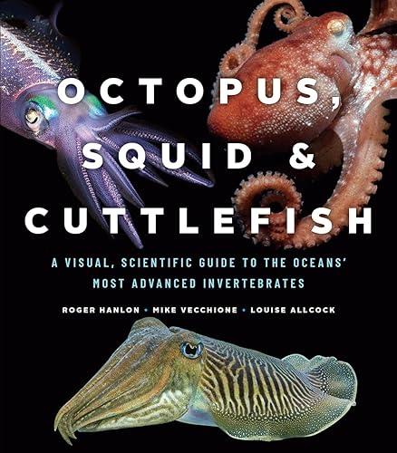 Octopus, Squid, and Cuttlefish: A Visual, Scientific Guide to the ...
