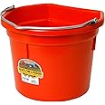 Amazon.com: Little Giant® Flat Back Plastic Animal Feed Bucket | Animal ...