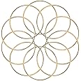 Amazon.com: 20 Pcs 4 Inch Metal Rings for Craft Gold Hoops Floral ...