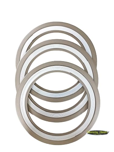 GemmySeal Spiral Wound Gasket with 304SS Inner&Outer Ring,PTFE Filled ...