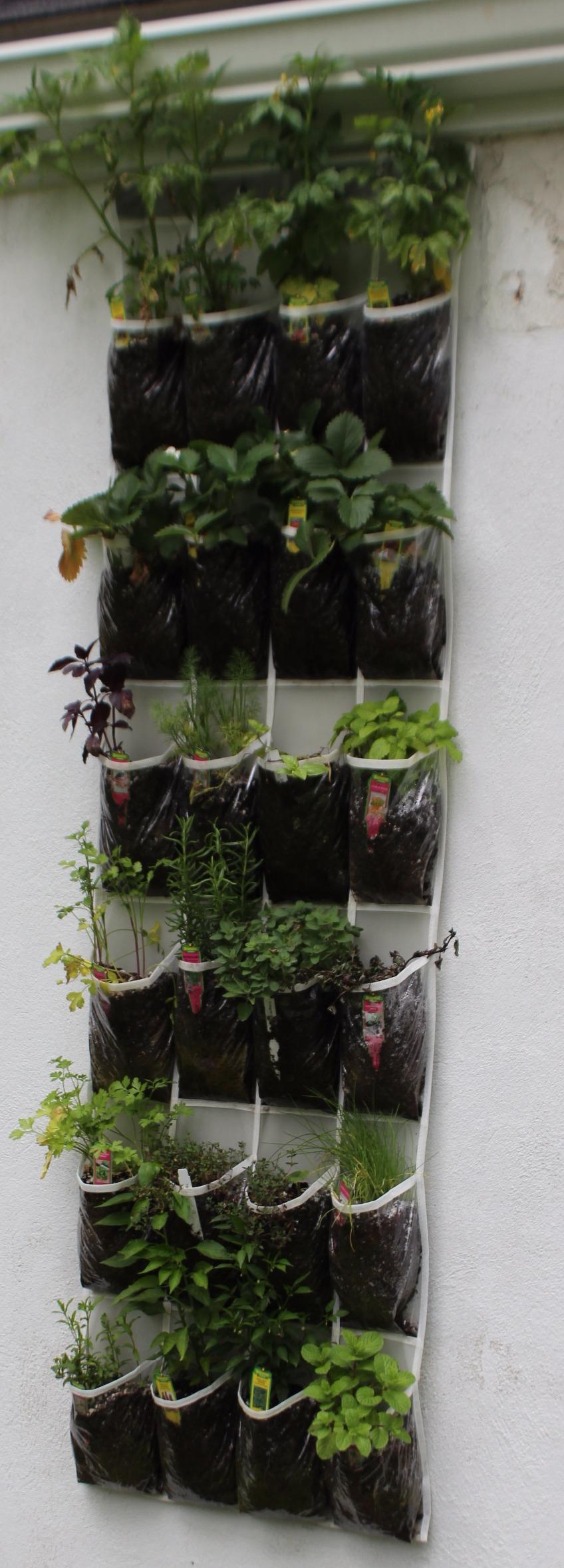 Novel Garden Project!
