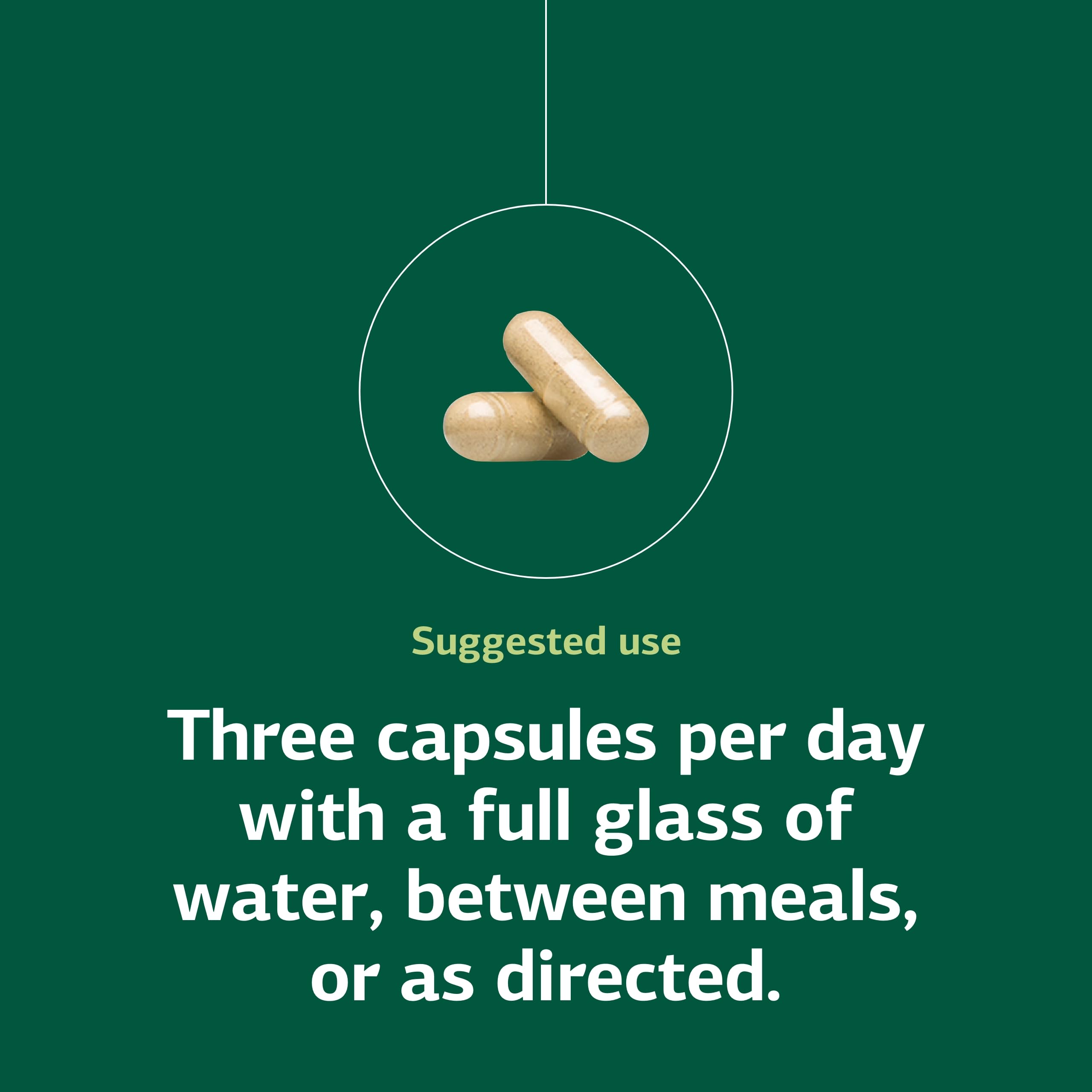 Mua Standard Process Collinsonia Root - Healthy Vascular Tissue Support ...