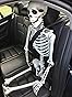 Amazon.com: 5 ft Pose-N-Stay Life Size Skeleton Full Body Realistic ...