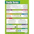Amazon.com : Poetic Terms English Classroom Poster - EXTRA LARGE 33” x ...