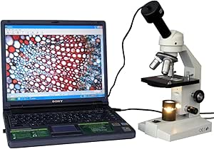 Amazon.com: AmScope M200-P Digital Monocular Compound Microscope, WF10x ...
