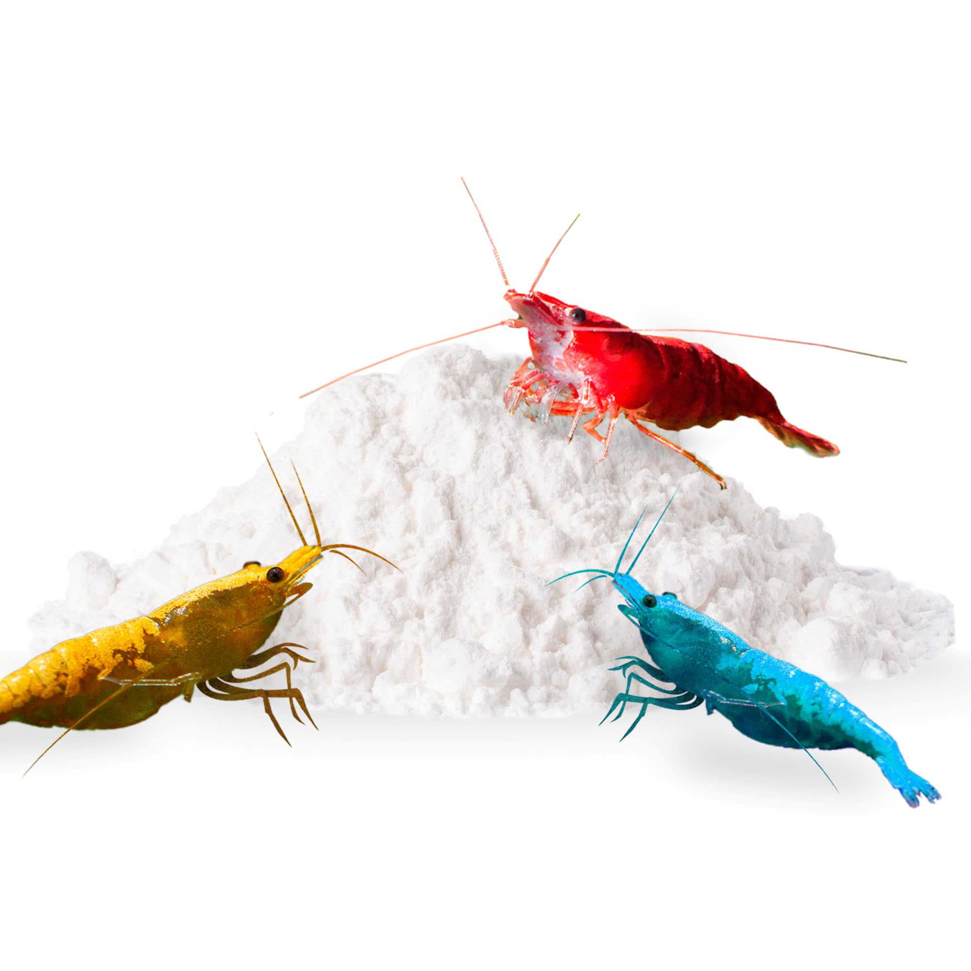 Mua SunGrow Shrimp Calcium White Powder, Supports Healthy Molting ...