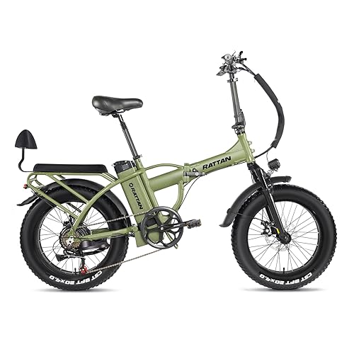 Rattan 750W Electric Bike for Adults Electric Folding Ebikes 20''x4.0 ...