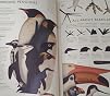 Curiositree: Natural World: A Visual Compendium of Wonders from Nature ...