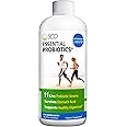 Amazon.com: SCD Essential Probiotics – Raw, Live, Unpasteurized ...