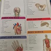 Human Body! (Knowledge Encyclopedias): DK: 9781465462398: Amazon.com: Books