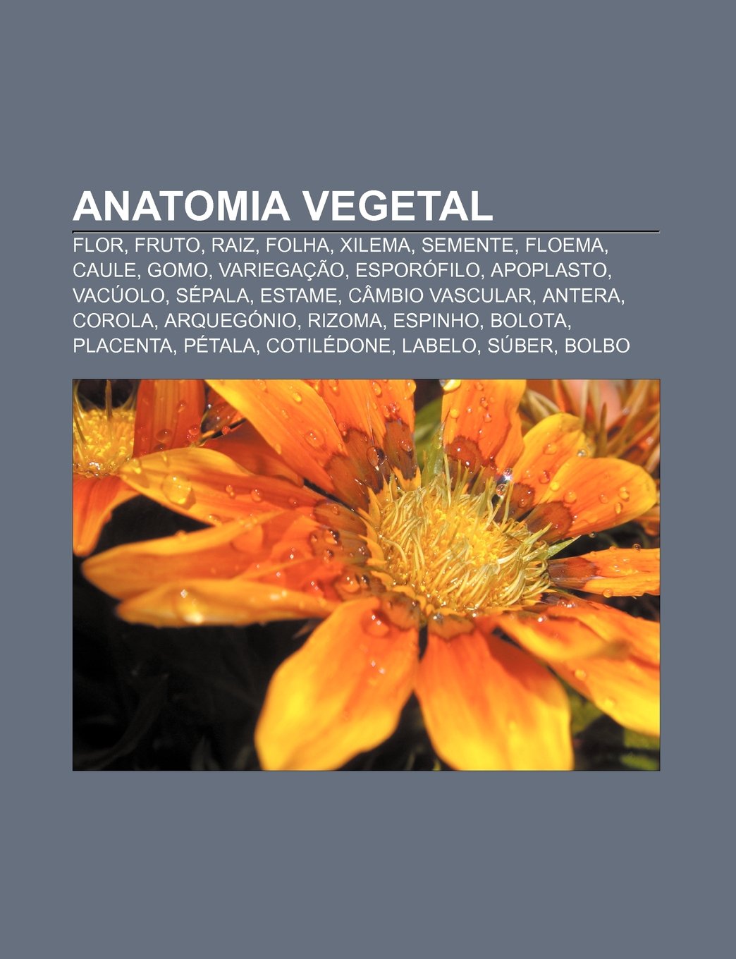 Anatomia Vegetal: Flor, Fruto, Raiz, Folha, Xilema, Semente, Floema ...