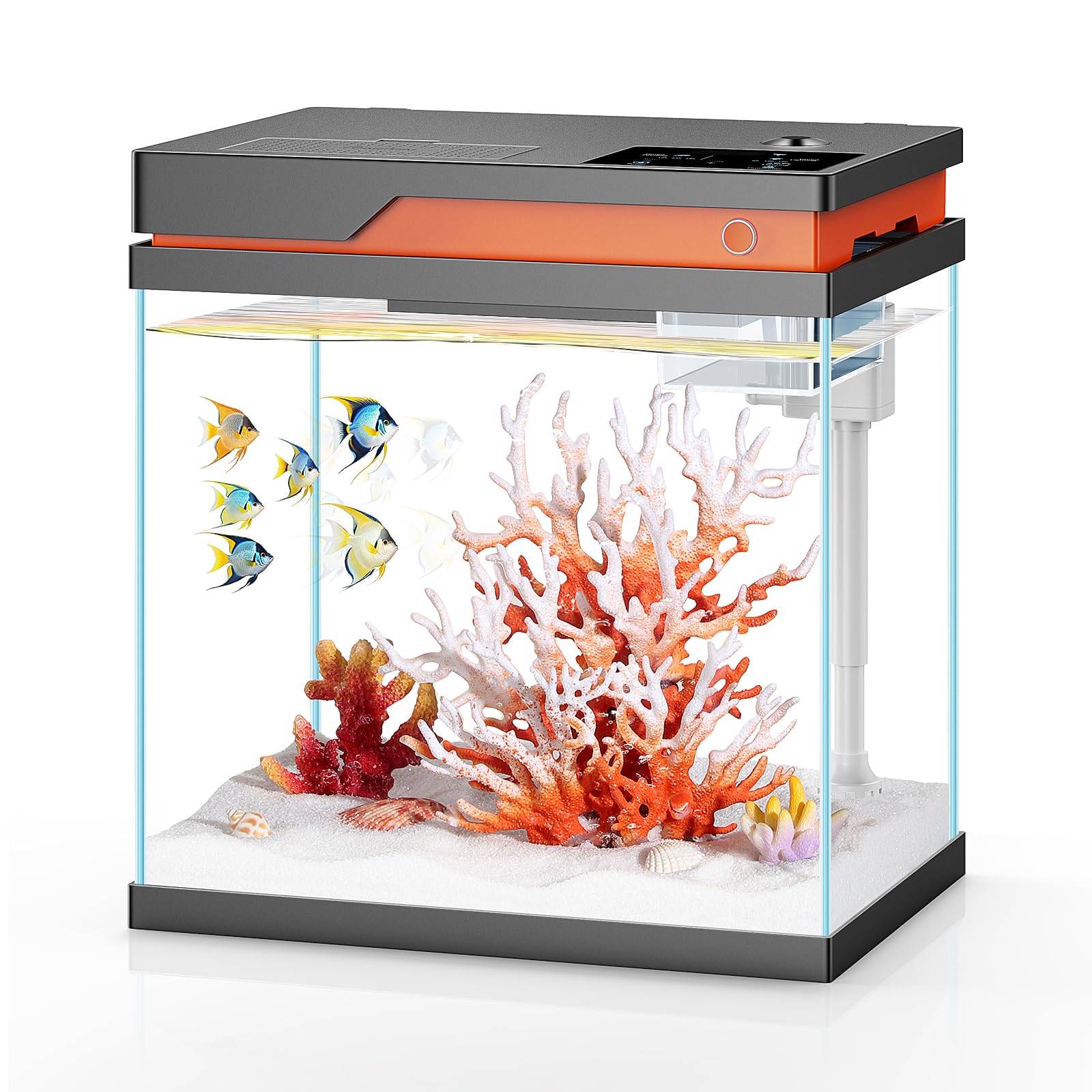 PONDON Fish Tank, 4 Gallon Beta Fish Aquarium with Filter and Light ...