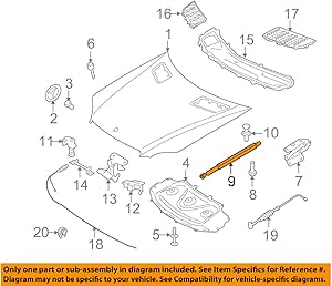 Amazon.com: Mercedes-Benz 164 880 00 29, Hood Lift Support: Automotive