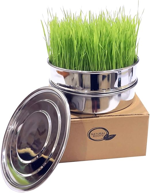 Stainless Steel Seed Sprouting Tray Set-8 Inch 3 Piece Stackable ...