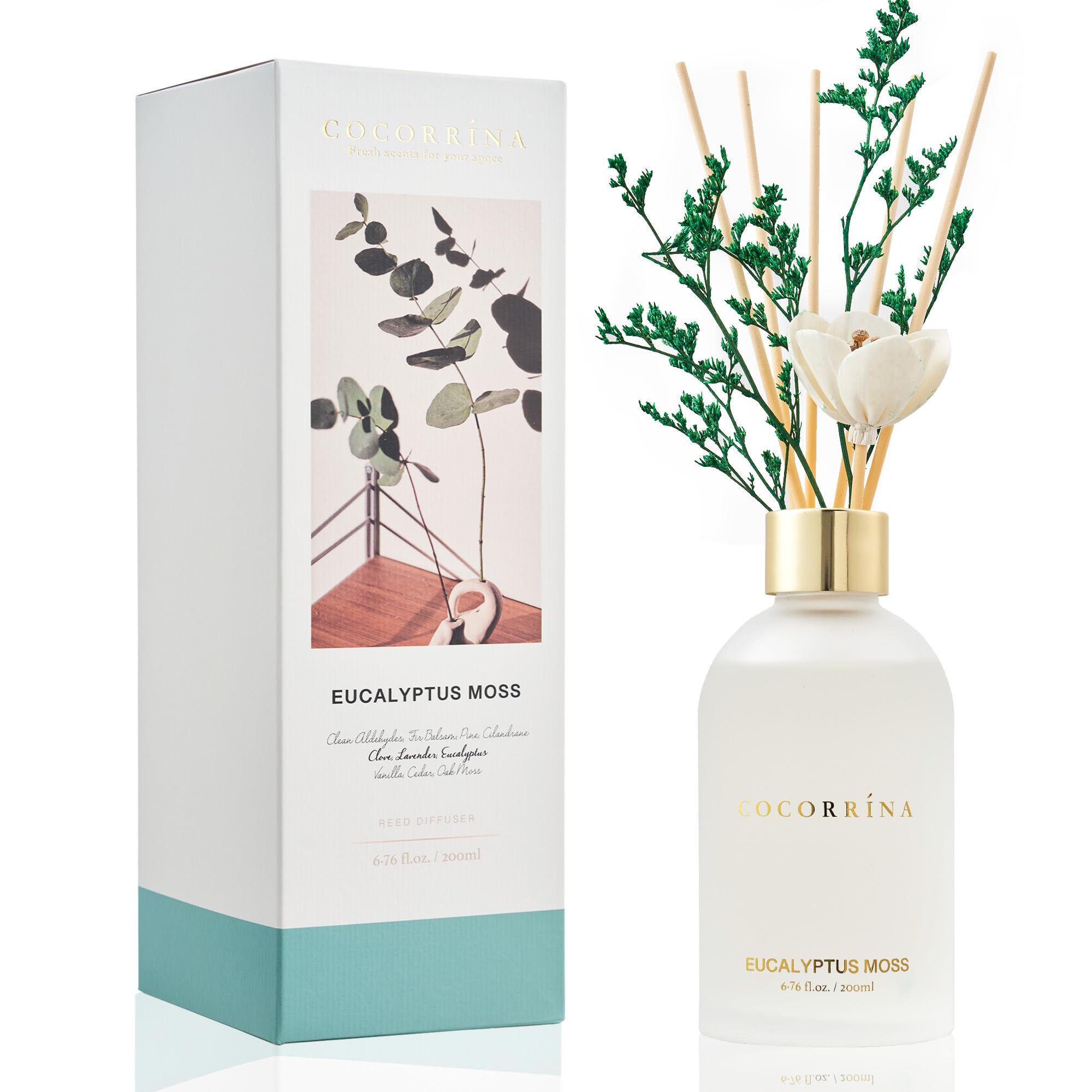 COCORRÍNA Reed Diffuser - Eucalyptus Moss 6.76 oz Flower Reed Diffuser ...