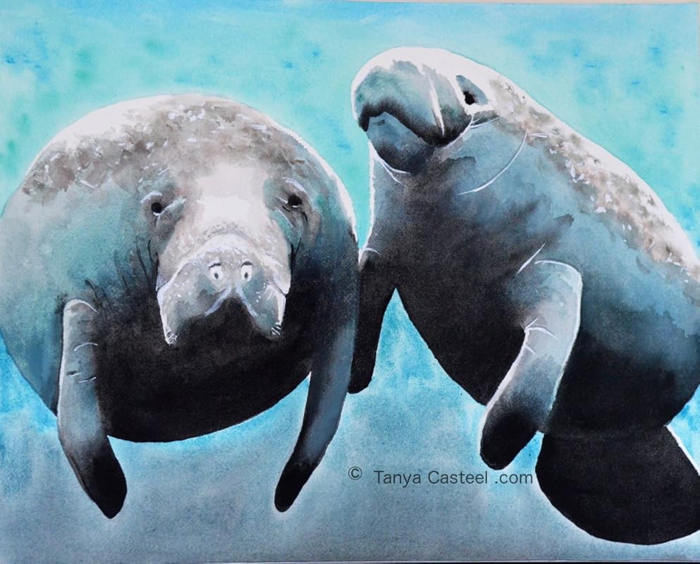 Amazon.com: Manatee Art Print from Watercolor Painting: Handmade