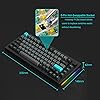 Akko 5075B Plus Mechanical Keyboard 75% Percent RGB Hot-swappable ...